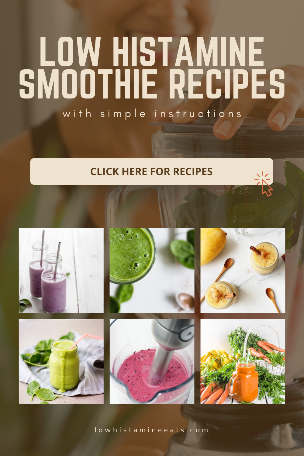 13 Low Histamine Smoothies For Any Occasion