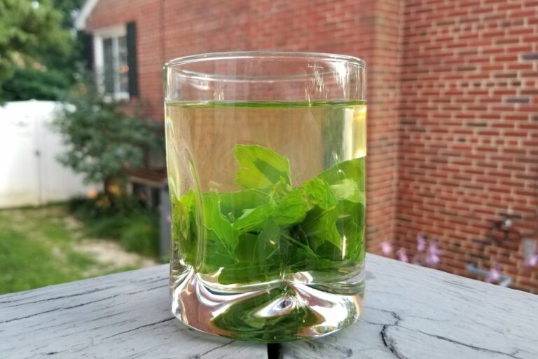 Holy Basil Tea Recipe (Using Fresh or Dried Tulsi)