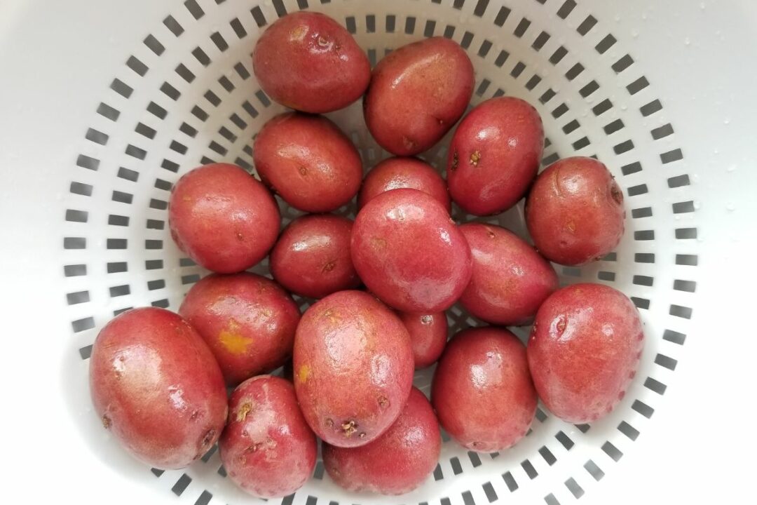 Crispy Roasted Za'atar Potatoes (Healthy & Easy)