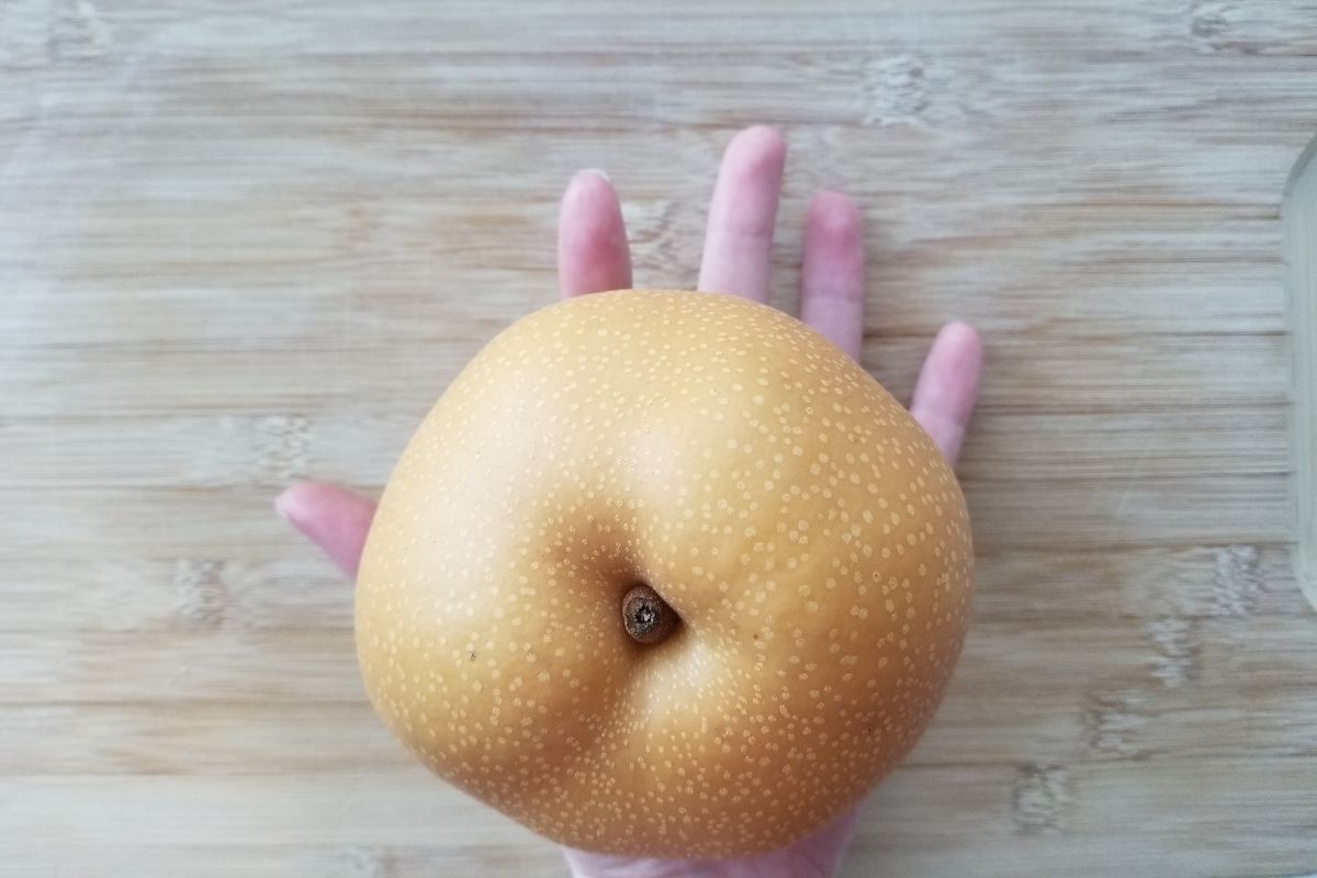 How to Make Asian Pear Tea (Honey Optional!)