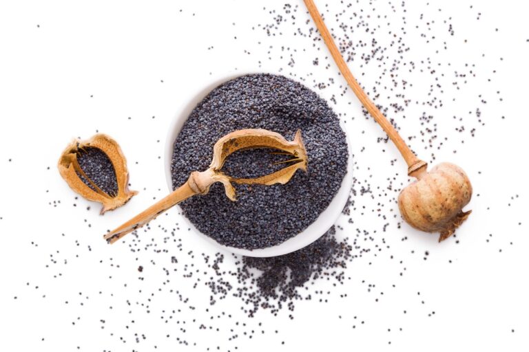 5 Best Poppy Seed Substitute Options | Low Histamine Eats