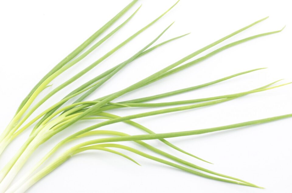 How to Substitute for Spring Onion (7 Options) | Low Histamine Eats