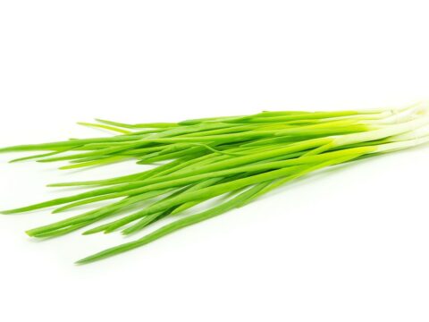 5 Best Poppy Seed Substitute Options