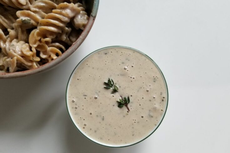 Creamy Coconut Milk Pasta Sauce (Vegan, No Tomato)