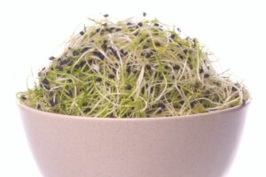 13 Best Microgreens to Eat and Grow (Healthiest & Easiest!)