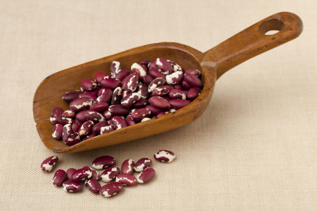 11 Best Kidney Bean Substitutes, Ranked (Direct Swaps) | Low Histamine Eats