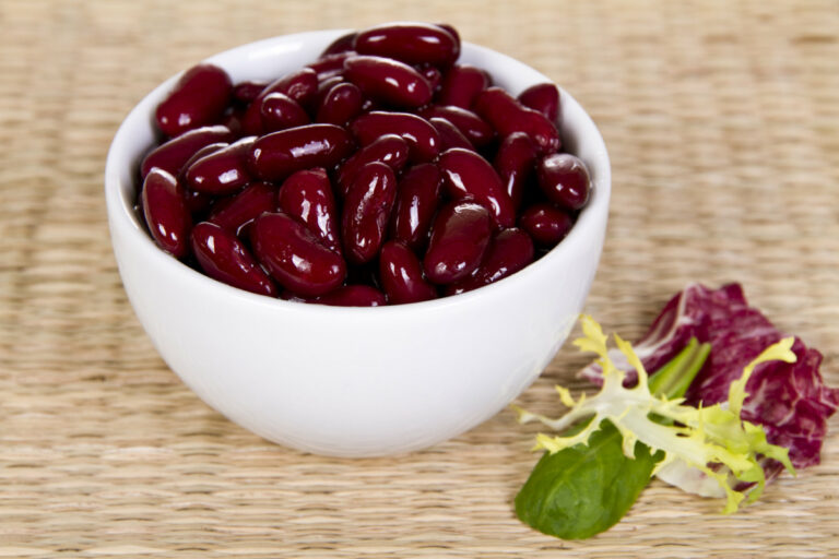 11 Best Black Bean Substitutes, Ranked (Direct Swaps) | Low Histamine Eats