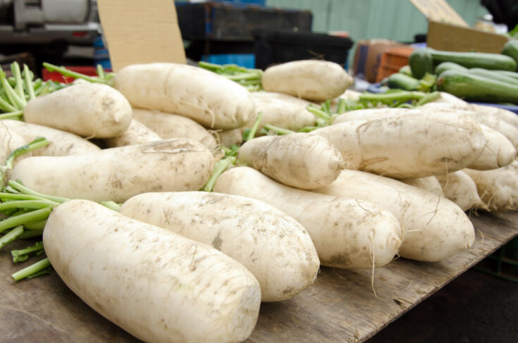 7 Best Jicama Substitutes (for Salads & More) | Low Histamine Eats