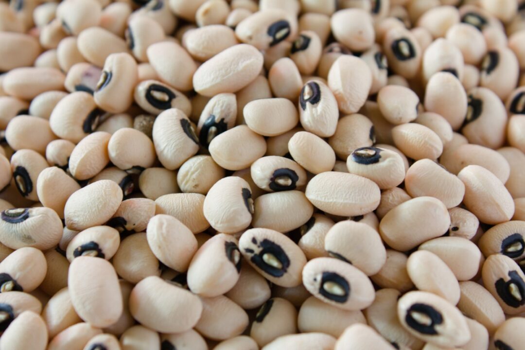 10 Best Fava Bean Substitute Options (Direct Swaps) | Low Histamine Eats