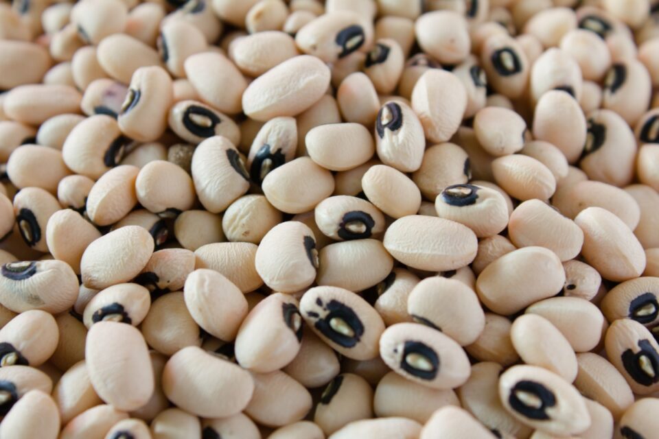 10 Best Fava Bean Substitute Options (Direct Swaps) | Low Histamine Eats