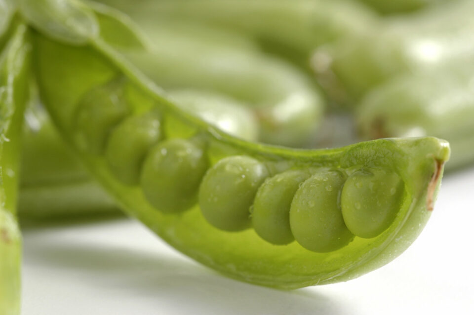 10 Best Fava Bean Substitute Options (Direct Swaps) | Low Histamine Eats