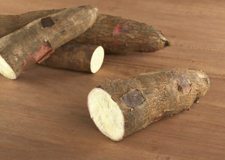What is Yuca Root? (Cassava Nutrition & Recipes) | Low Histamine Eats