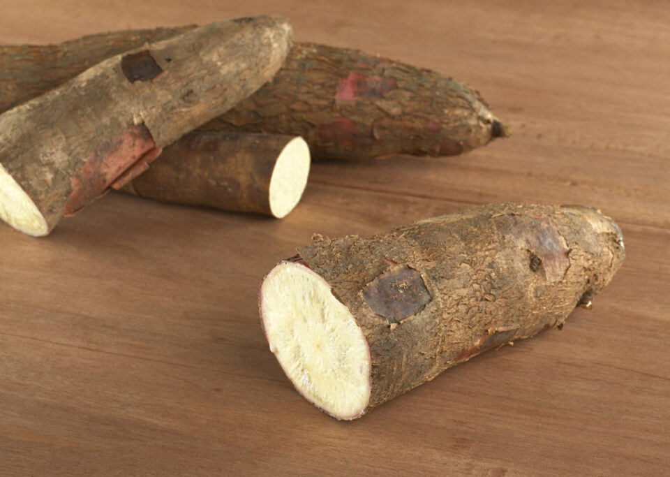 What is Yuca Root? (Cassava Nutrition & Recipes) | Low Histamine Eats