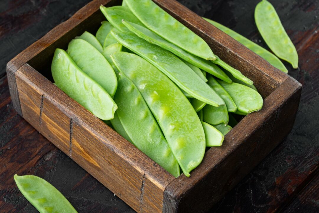 10 Best Fava Bean Substitute Options (Direct Swaps) | Low Histamine Eats