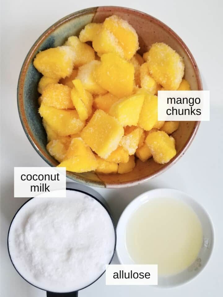 Creamy Mango Popsicles (Vegan, 2 Ingredients!) | Low Histamine Eats