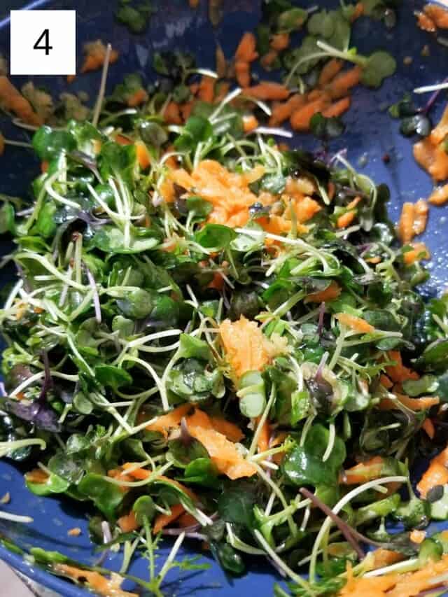 Easy Microgreen Salad With Fresh Ginger Dressing | Low Histamine Eats