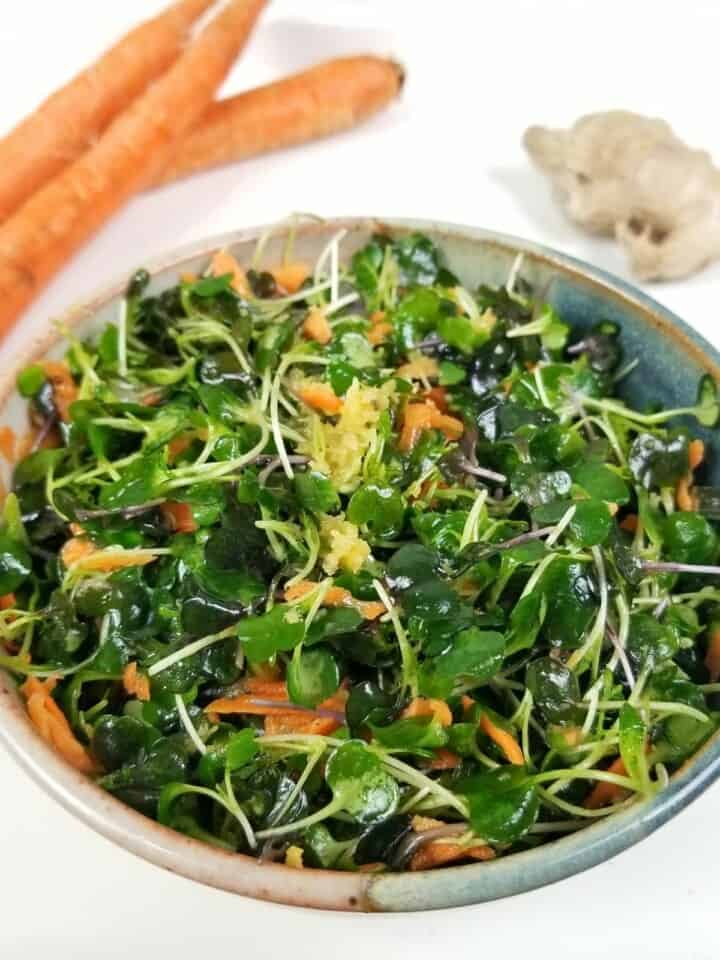 Easy Microgreen Salad With Fresh Ginger Dressing