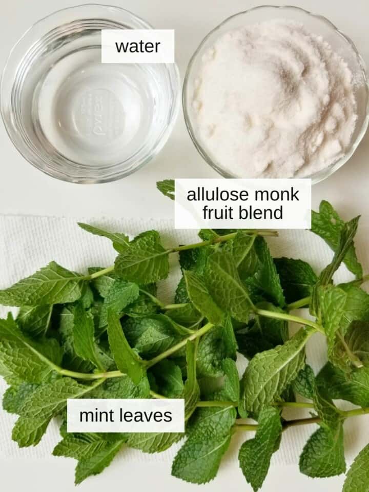 Fresh Mint Simple Syrup (Sugar-Free Option) | Low Histamine Eats