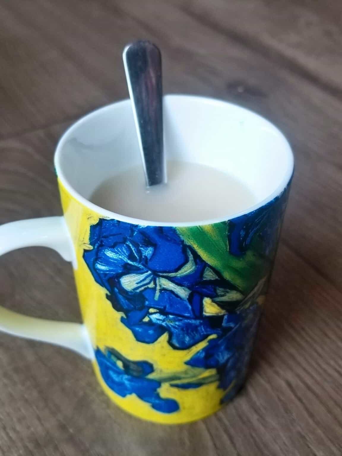 Easy Spiced Warm Ginger Milk (Vegan)