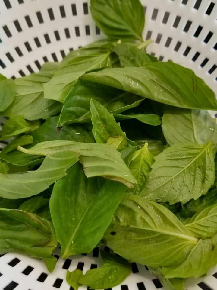 Easy Thai Basil Simple Syrup (Sugar-Free Option) | Low Histamine Eats