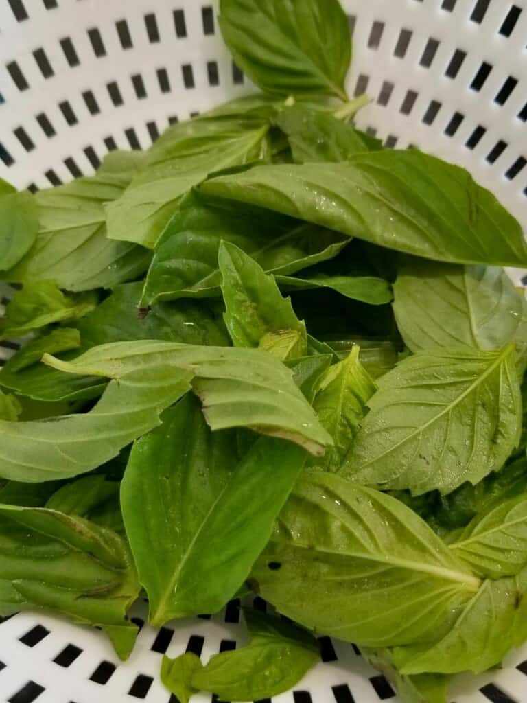 Easy Thai Basil Simple Syrup (Sugar-Free Option) | Low Histamine Eats