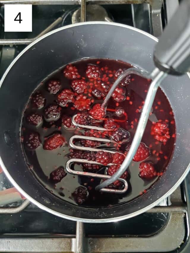 Easy Blackberry Simple Syrup (10 Minutes) | Low Histamine Eats
