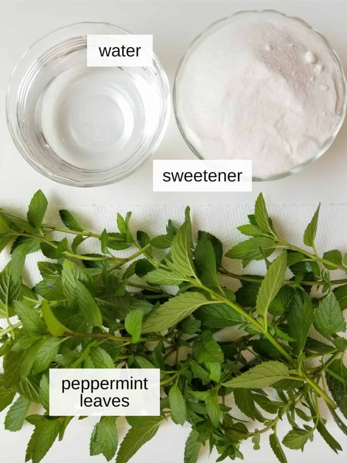 Easy Homemade Peppermint Syrup (2 Ways) | Low Histamine Eats