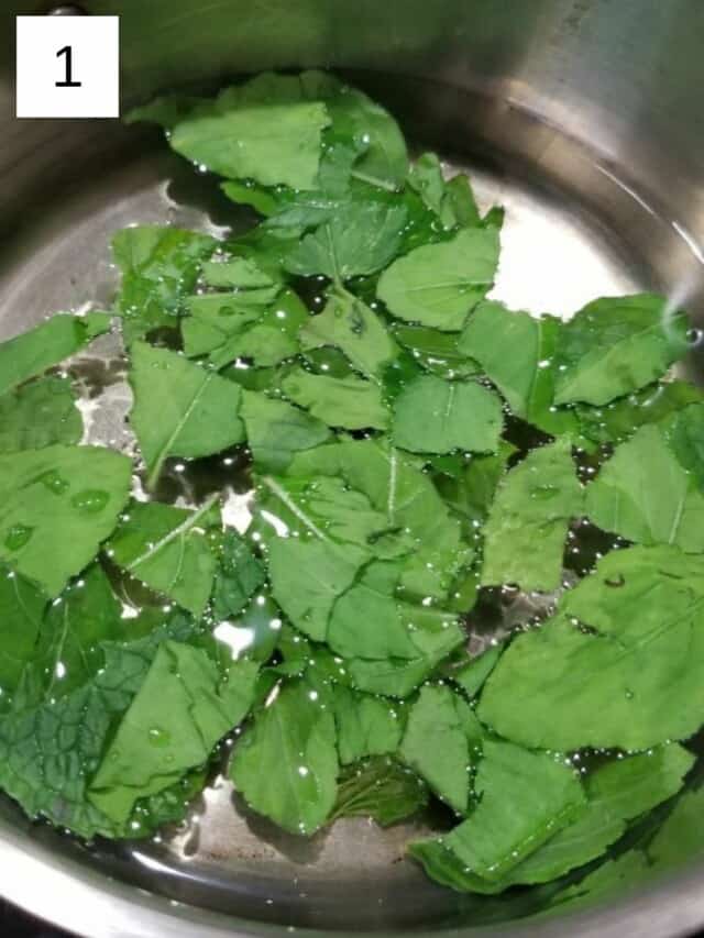 Holy Basil Tea Recipe (Using Fresh or Dried Tulsi) | Low Histamine Eats