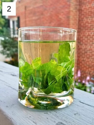 Holy Basil Tea Recipe (Using Fresh or Dried Tulsi) | Low Histamine Eats