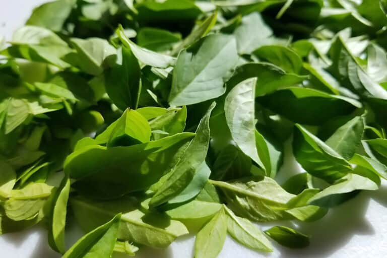 11 Best Types of Sandwich Lettuce (Healthiest & Easiest!) | Low ...